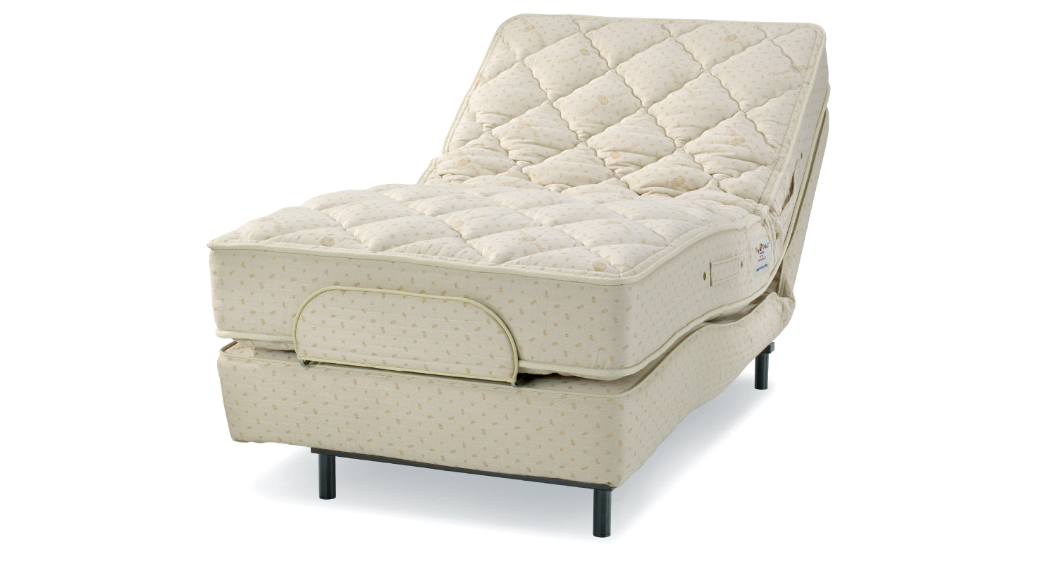 Royal-Pedic Deluxe Adjustable Beds – Egg & Dart PDQ